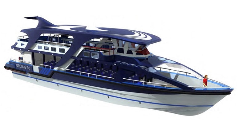 Hammerhead Whale Watching Range – Dhanusha Marine Lanka – Manufacturers ...
